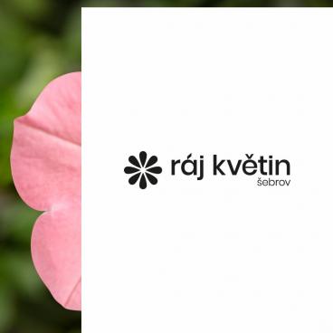 Kompaktní petunie - surfinie Dekko Bright Pink 2ks - Ráj květin Šebrov